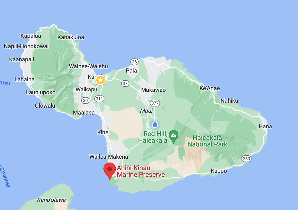 Ahihi Bay Snorkeling and Beach Guide - Auntie Snorkel