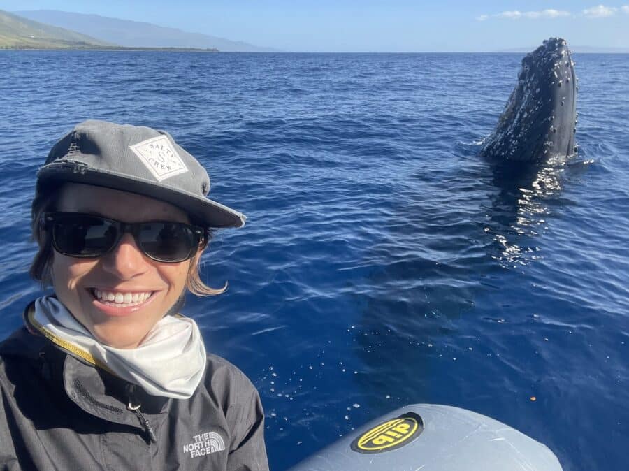 Fun Specialist Approved! Maui’s Best Beaches & Activities - Auntie Snorkel