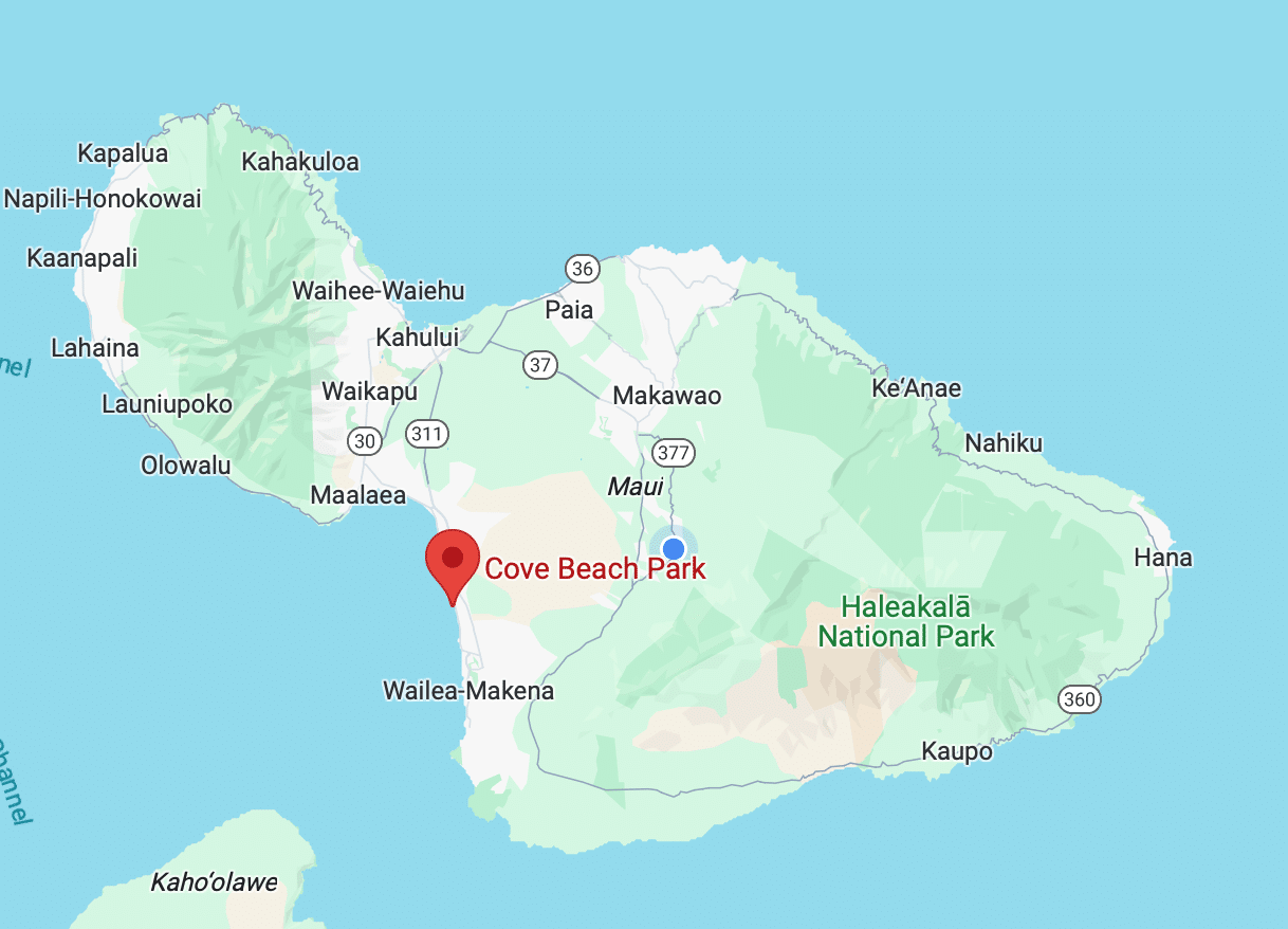 Cove Park Beach Guide - Auntie Snorkel