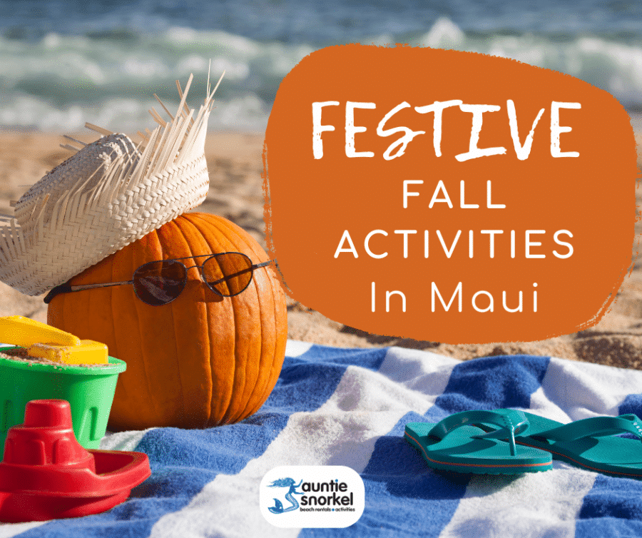 Festive Fall Activities in Maui - Auntie Snorkel