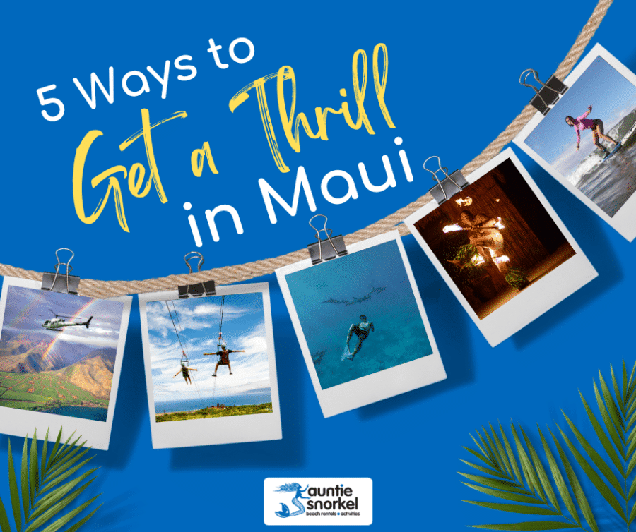 5 Ways to Get a Thrill in Maui - Auntie Snorkel