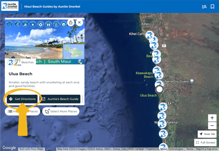 NEW Interactive Maui Beach Guides Map - Auntie Snorkel