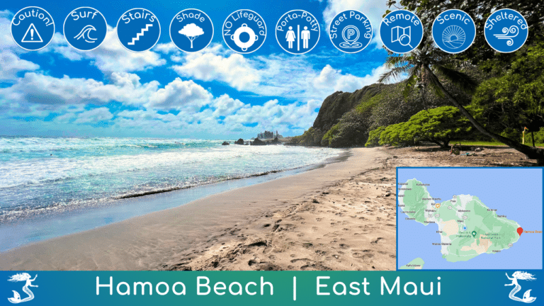Hamoa Beach Park Guide - Auntie Snorkel