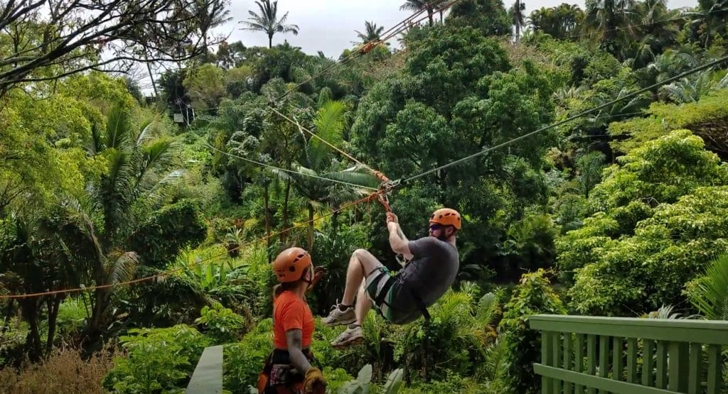 Jungle Zipline Tour | Click To Book and Save - Auntie Snorkel