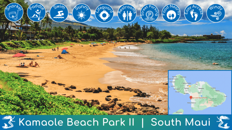 Shell Yeah! 9 Best Maui Sea Turtle Spots In Nesting Season - Auntie Snorkel