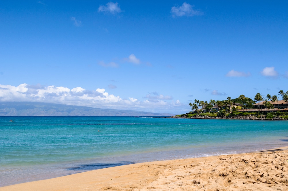 Napili Bay Beach Guide - Auntie Snorkel