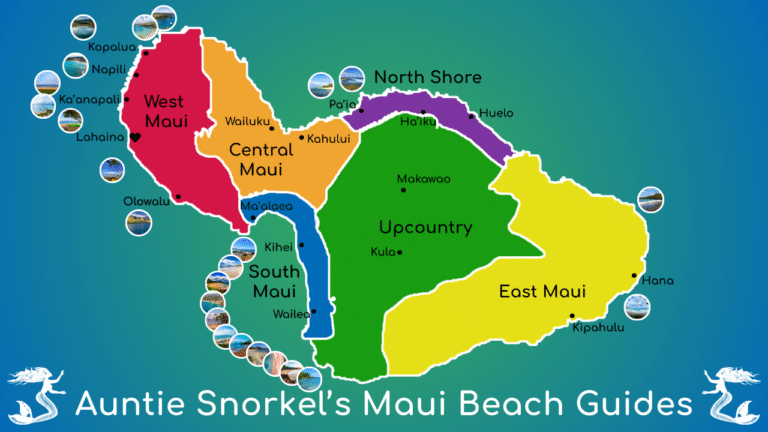 Maui Beach Guides by Auntie Snorkel - Auntie Snorkel