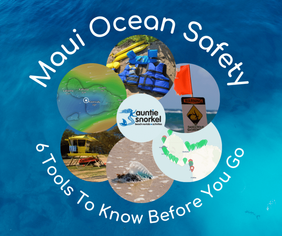 Maui Ocean Safety: 6 Tools To Know Before You Go - Auntie Snorkel
