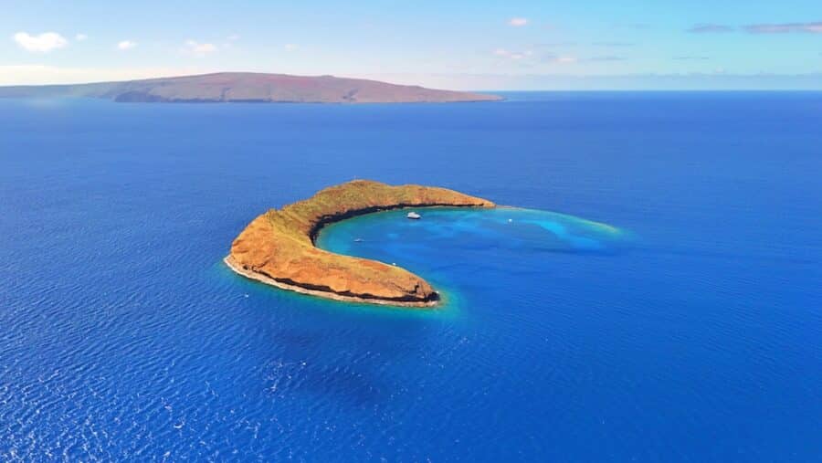 Snorkeling Molokini: 10 Things Every Visitor Should Know - Auntie Snorkel