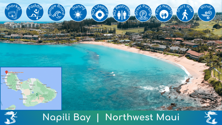 Napili Bay Beach Guide - Auntie Snorkel