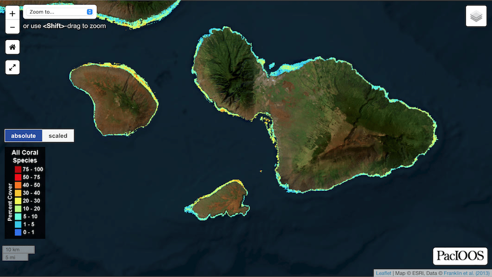 Coral Restoration in Hawai’i - Auntie Snorkel