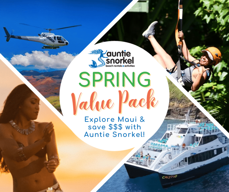 Auntie's Spring Value Pack of Maui Activities - Auntie Snorkel