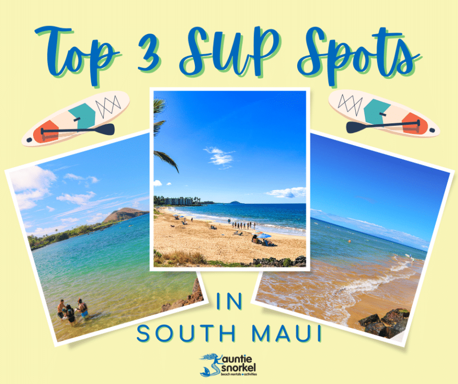 Top 3 South Maui SUP Spots - Auntie Snorkel