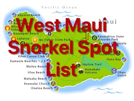 Where Should We Go Snorkeling In West Maui? - Auntie Snorkel